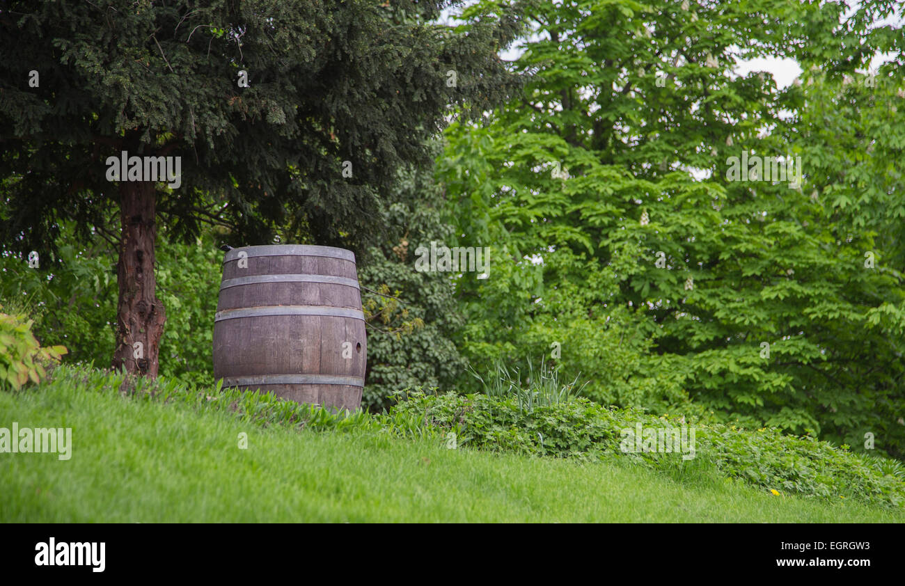 old oak barrel outdoors in the grass and trees Stock Photo - Alamy