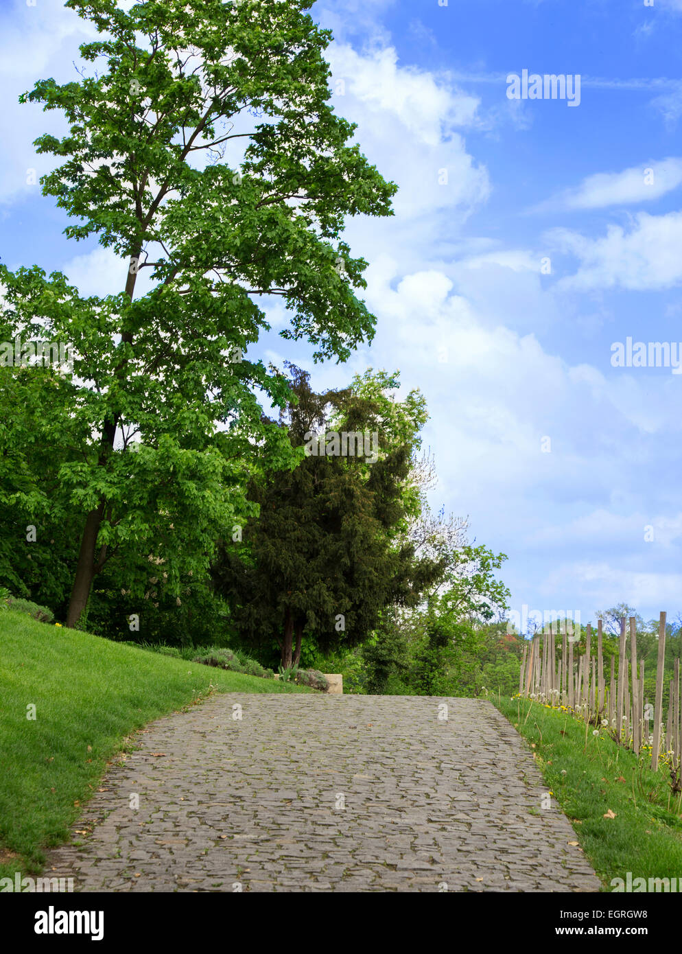path into the distance, the park Stock Photo - Alamy