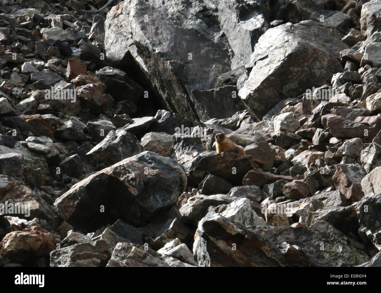 Talus slope hi-res stock photography and images - Alamy