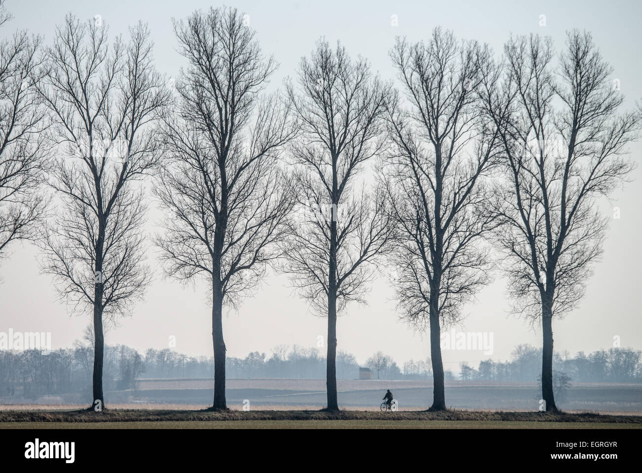 Neutraubling, Germany. 27th Feb, 2015. A man cycles between a row of ...