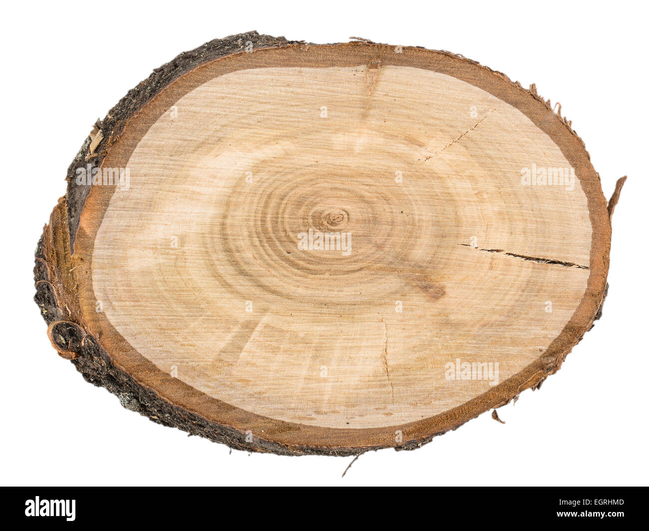 close-up wooden cut texture Stock Photo - Alamy