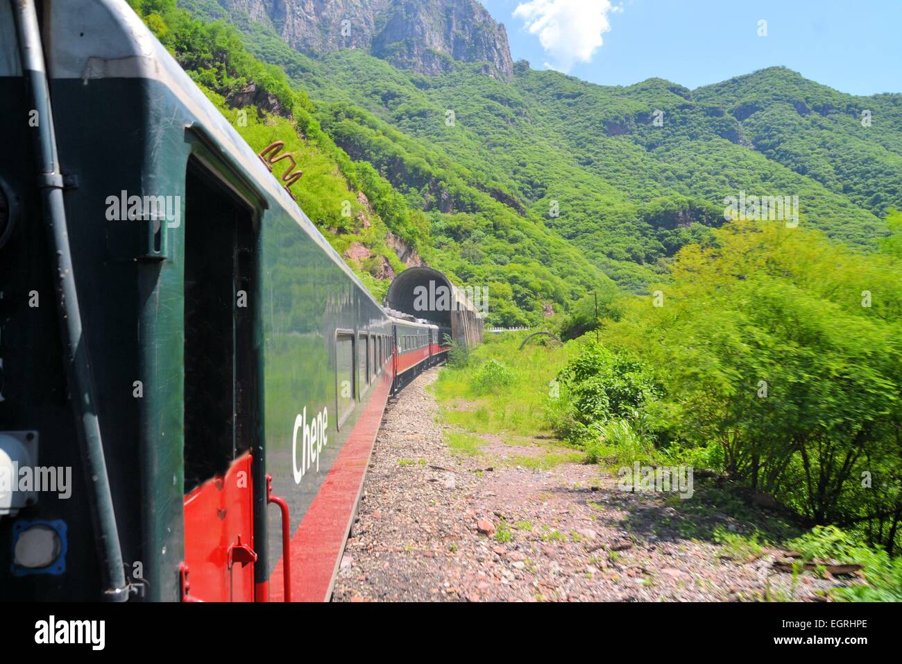 El Chepe train in the Copper Canyon, Mexico Stock Photo - Alamy