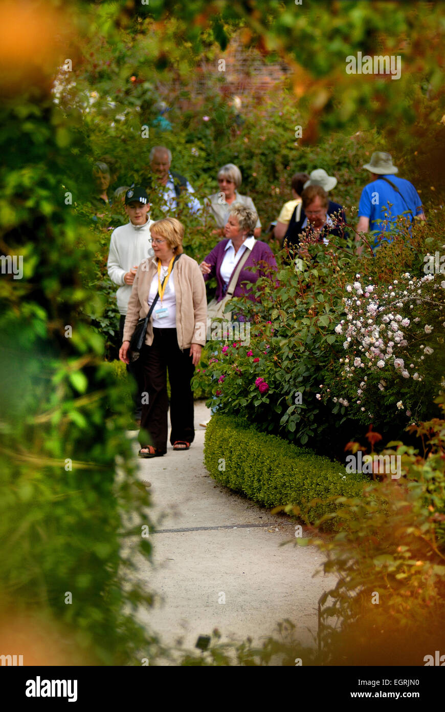 Rose Garden, The Alnwick Garden Stock Photo - Alamy