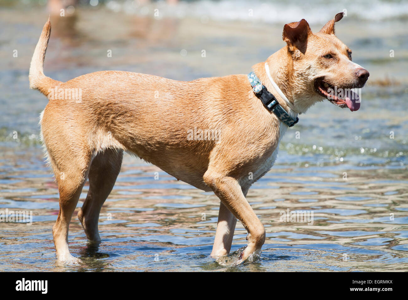 Playing noon hi-res stock photography and images - Alamy