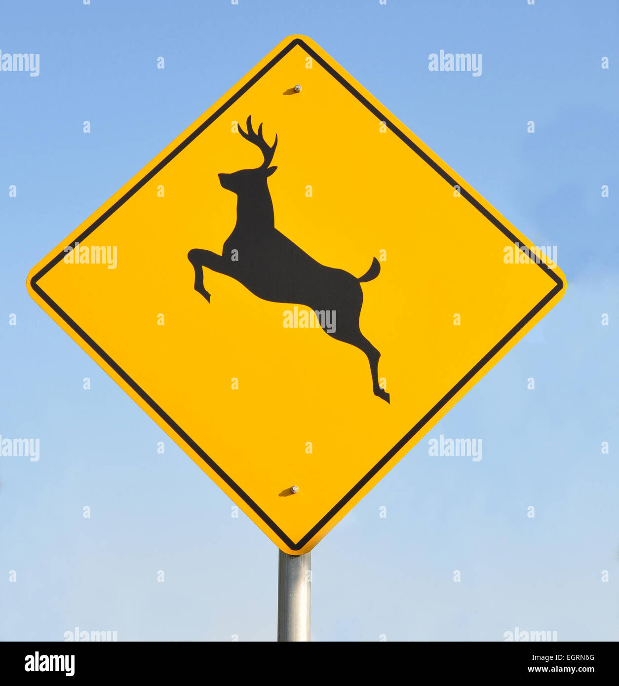 Deer warning sign hi-res stock photography and images - Alamy