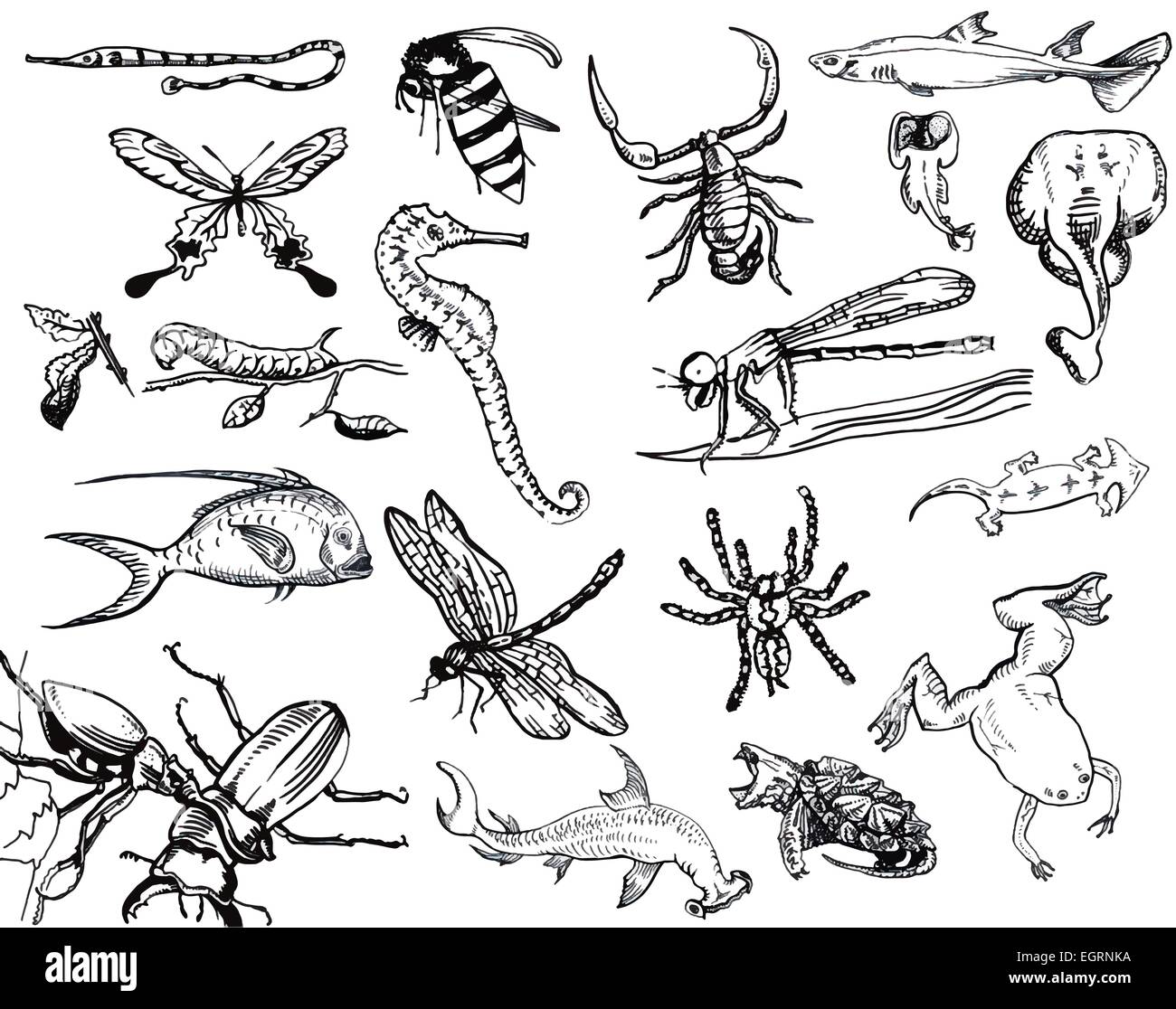 Pack technique hi-res stock photography and images - Alamy