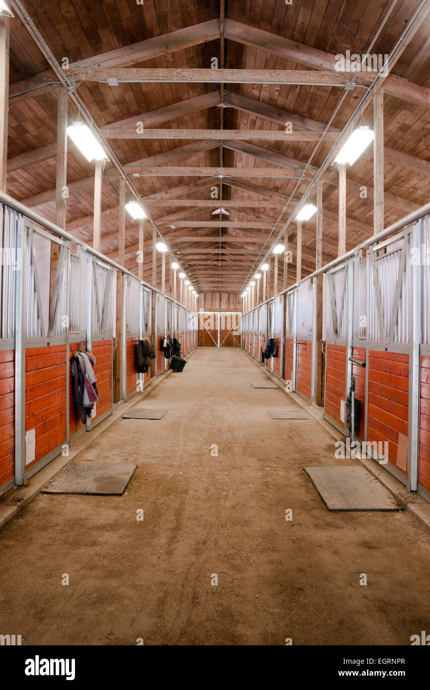 Horse stable racing hi-res stock photography and images - Alamy