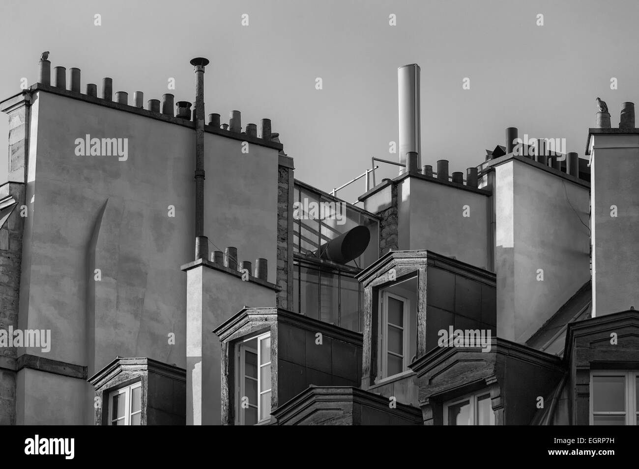 Detail of Traditional Rooftops in Paris. Black and White Stock Photo ...