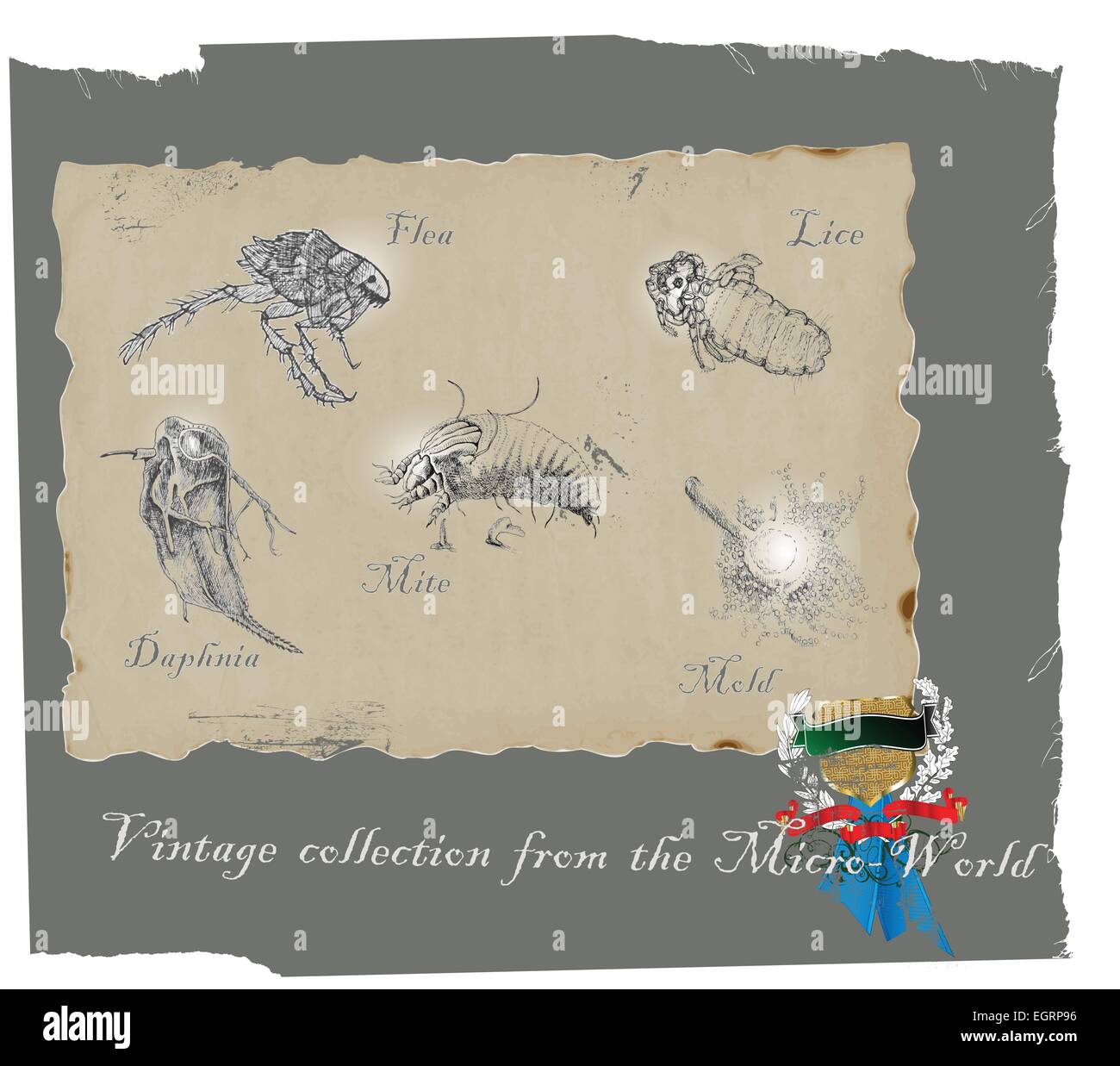 An hand drawn illustration - microorganisms collection Stock Vector ...