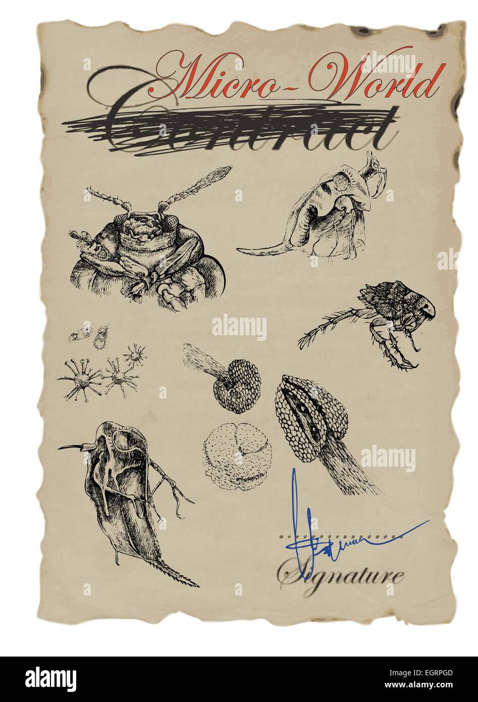 Micro animals Stock Vector Images - Alamy