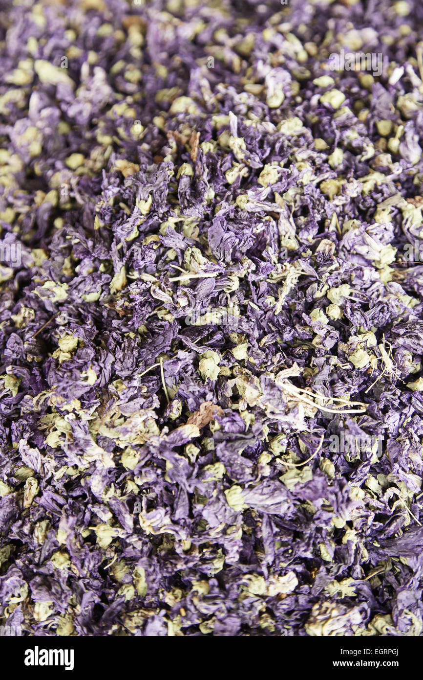 Ceylon teas of old hi-res stock photography and images - Alamy