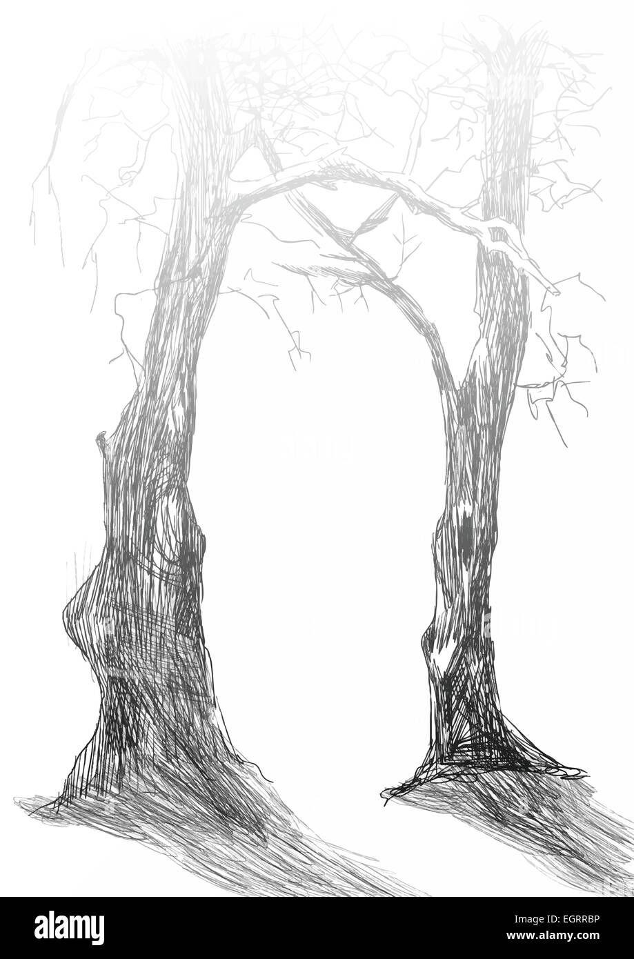 Night picture of trees Black and White Stock Photos & Images - Alamy