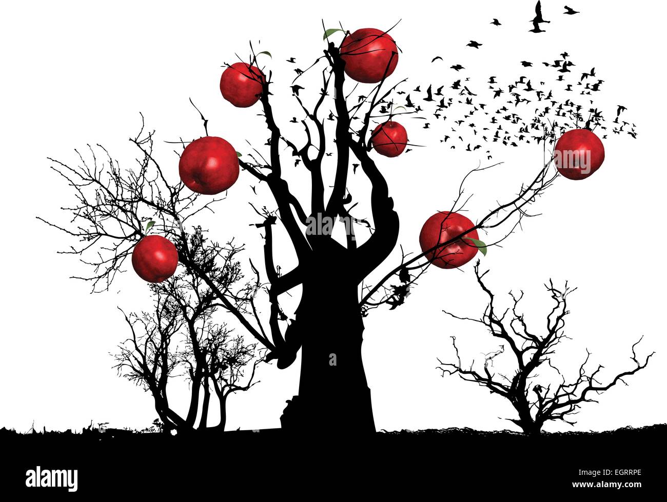 apple tree - 3D apples and silhouette of apple tree Stock Vector Image ...