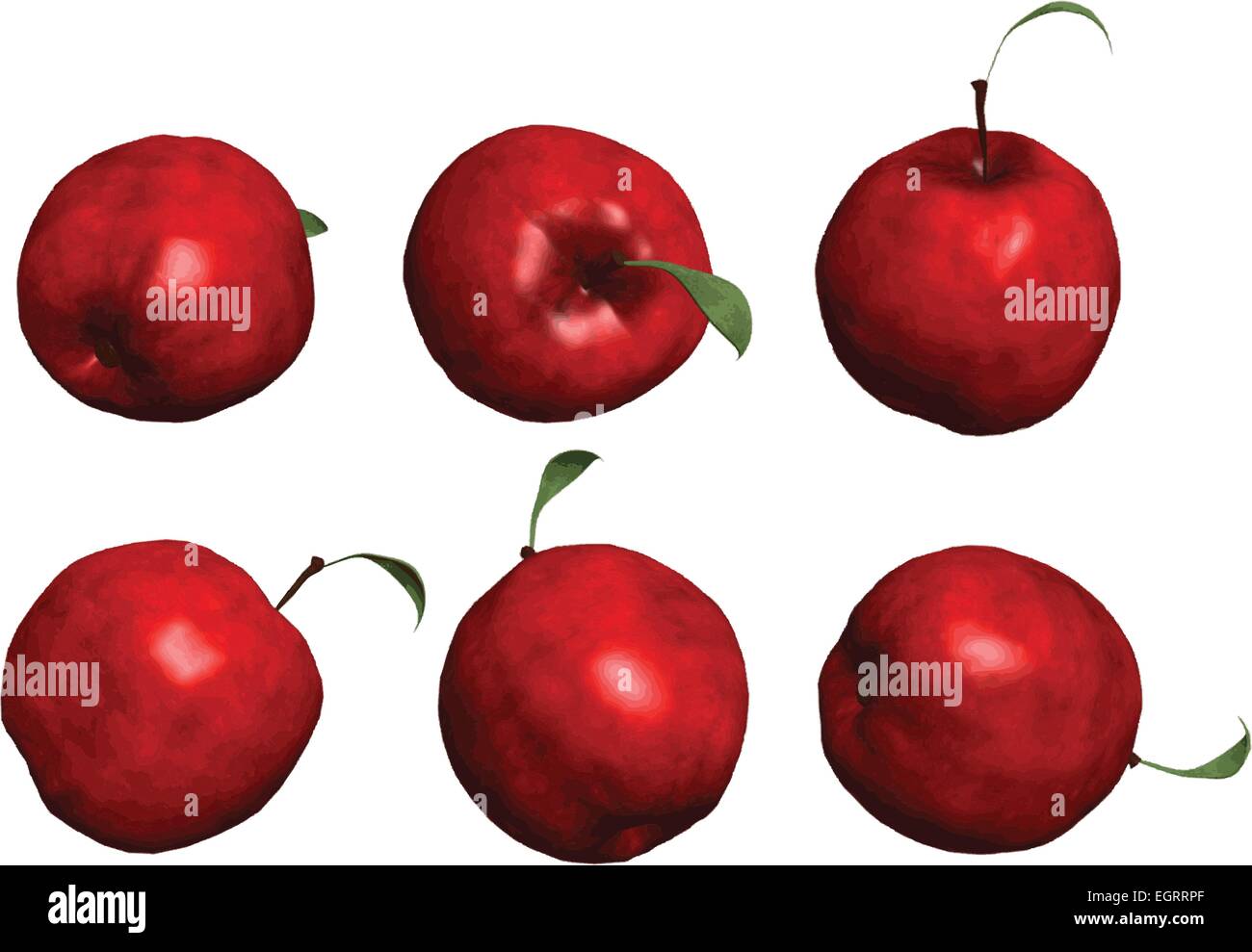 3D vector - apples collection on white (isolated Stock Vector Image ...