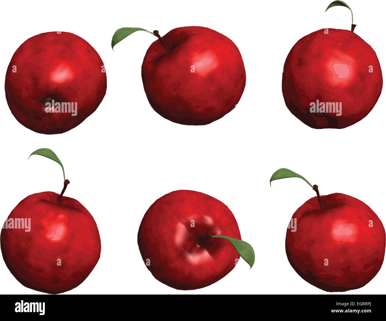 3D vector - apples collection on white (isolated Stock Vector Image ...