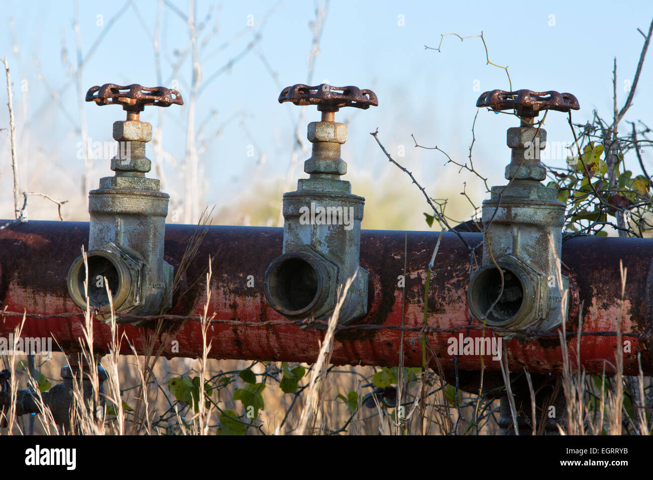 Texas abandoned farm hi-res stock photography and images - Alamy
