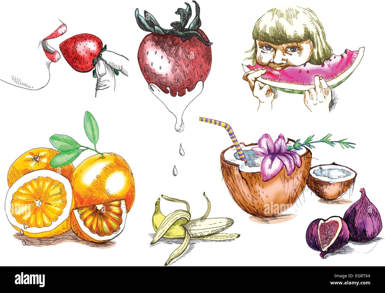 summer fruits collection - an hand drawing and painting illustrations ...