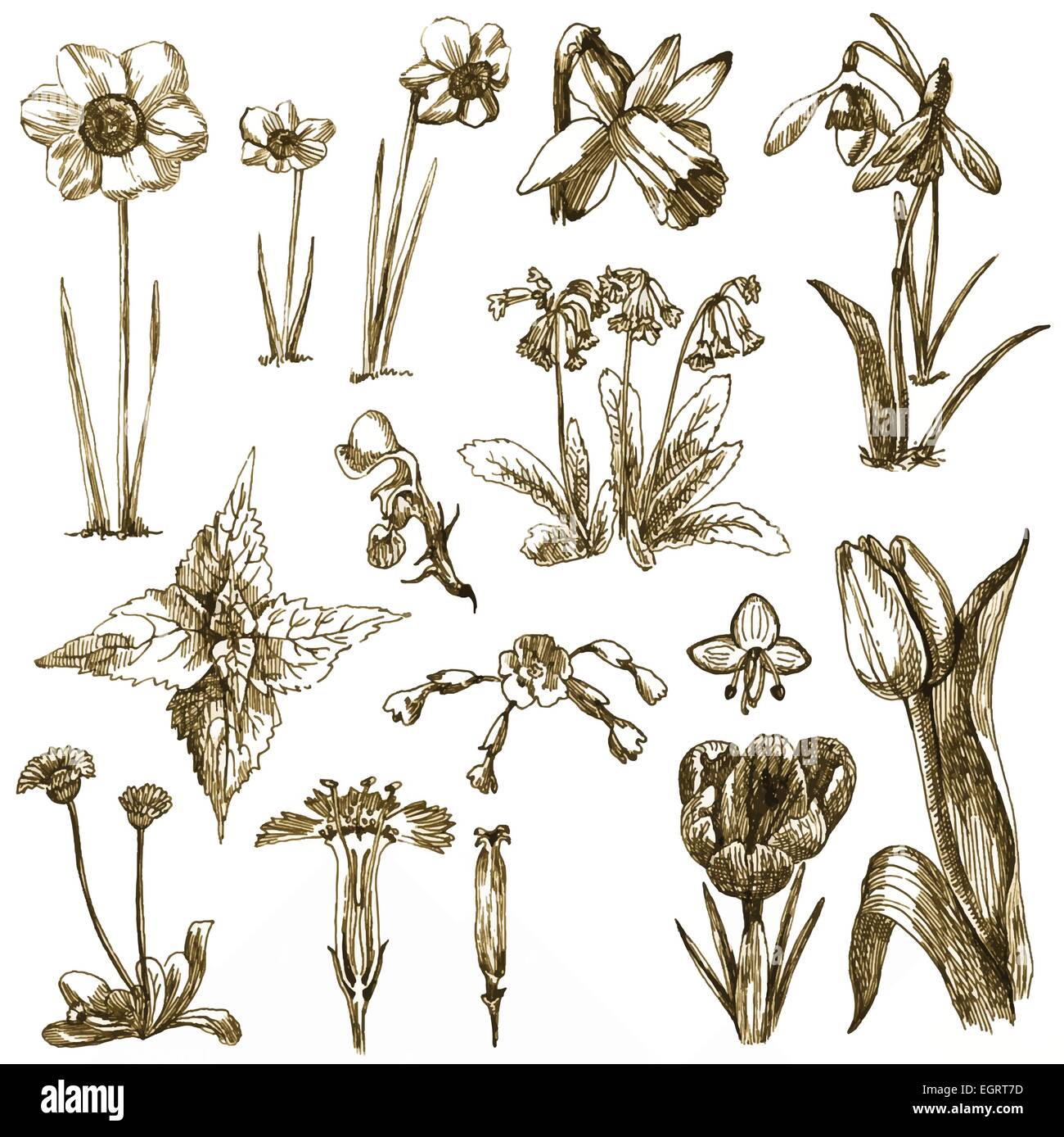 Painting technique vector vectors hi-res stock photography and images ...