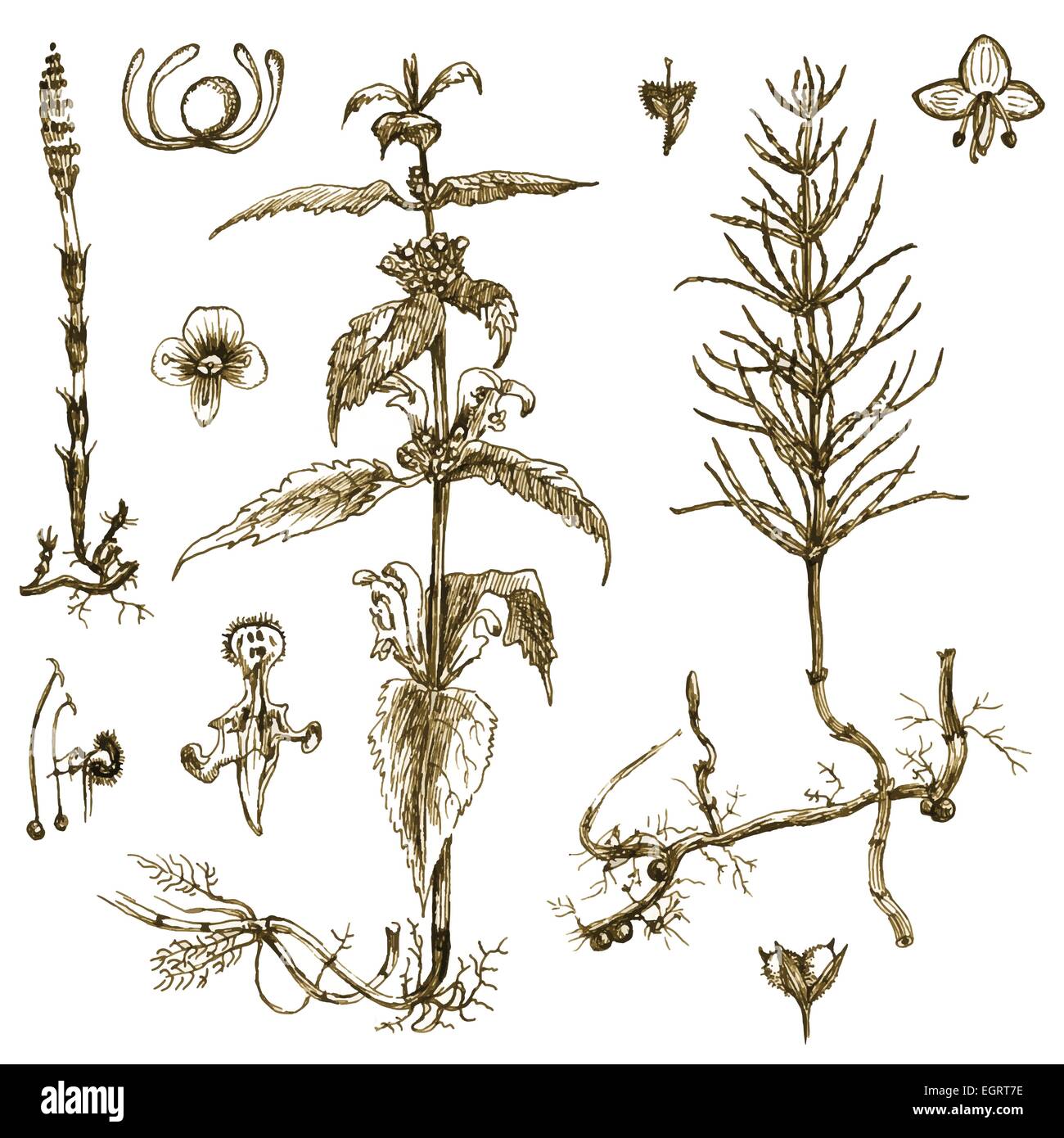 Touch technique Cut Out Stock Images & Pictures - Alamy