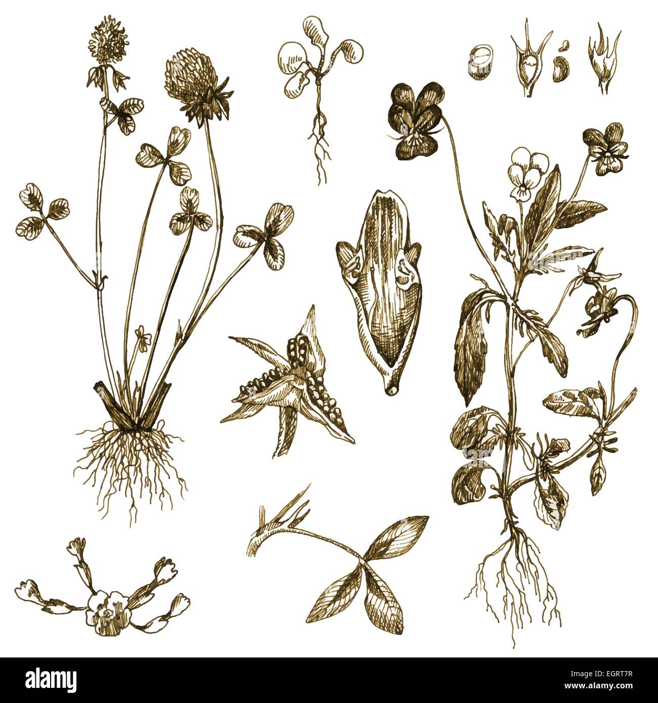 Painting technique vector vectors hi-res stock photography and images ...