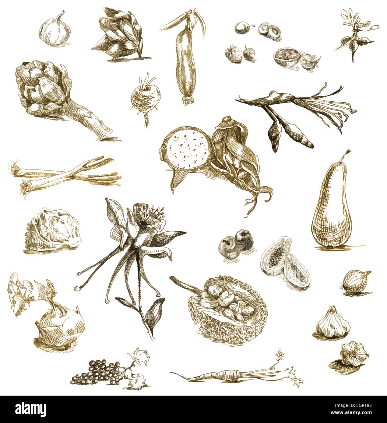 an hand drawn illustration (marker technique, converted): flowers ...