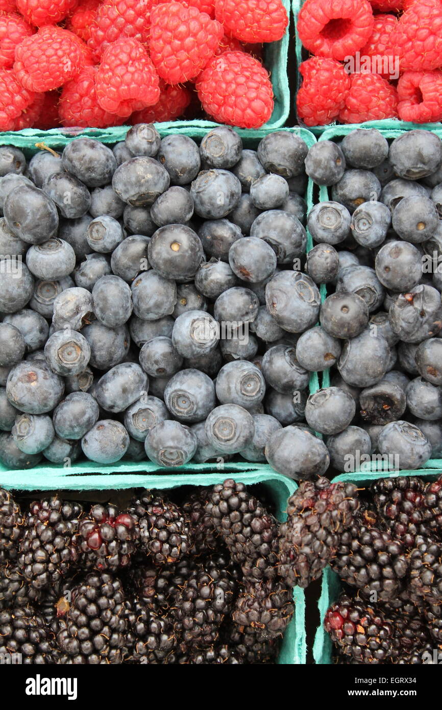 raspberries, blueberries and blackberries at market Stock Photo - Alamy