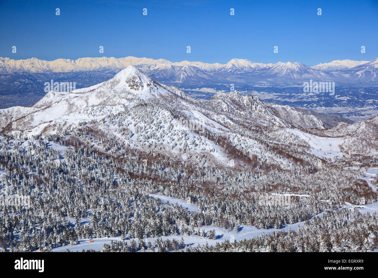 Shiga Kogen resort in winter, Nagano, Japan Stock Photo - Alamy