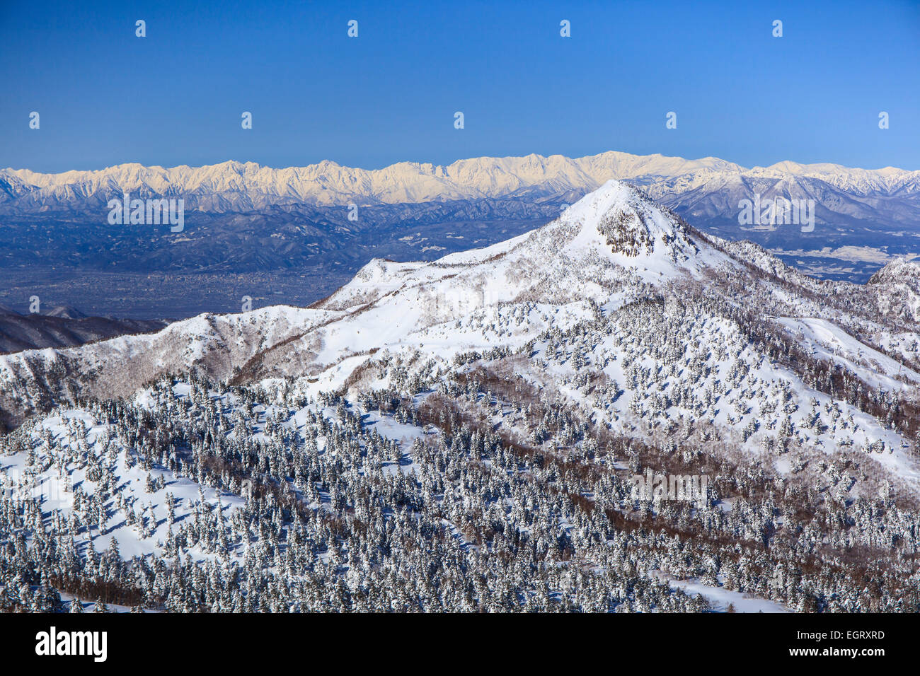 Shiga Kogen resort in winter, Nagano, Japan Stock Photo - Alamy