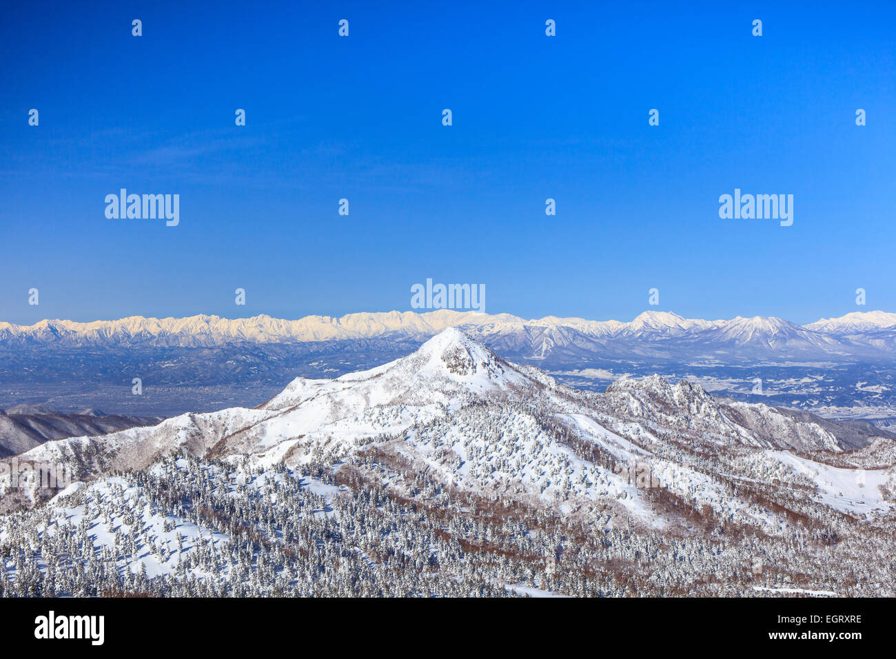 Shiga Kogen resort in winter, Nagano, Japan Stock Photo - Alamy