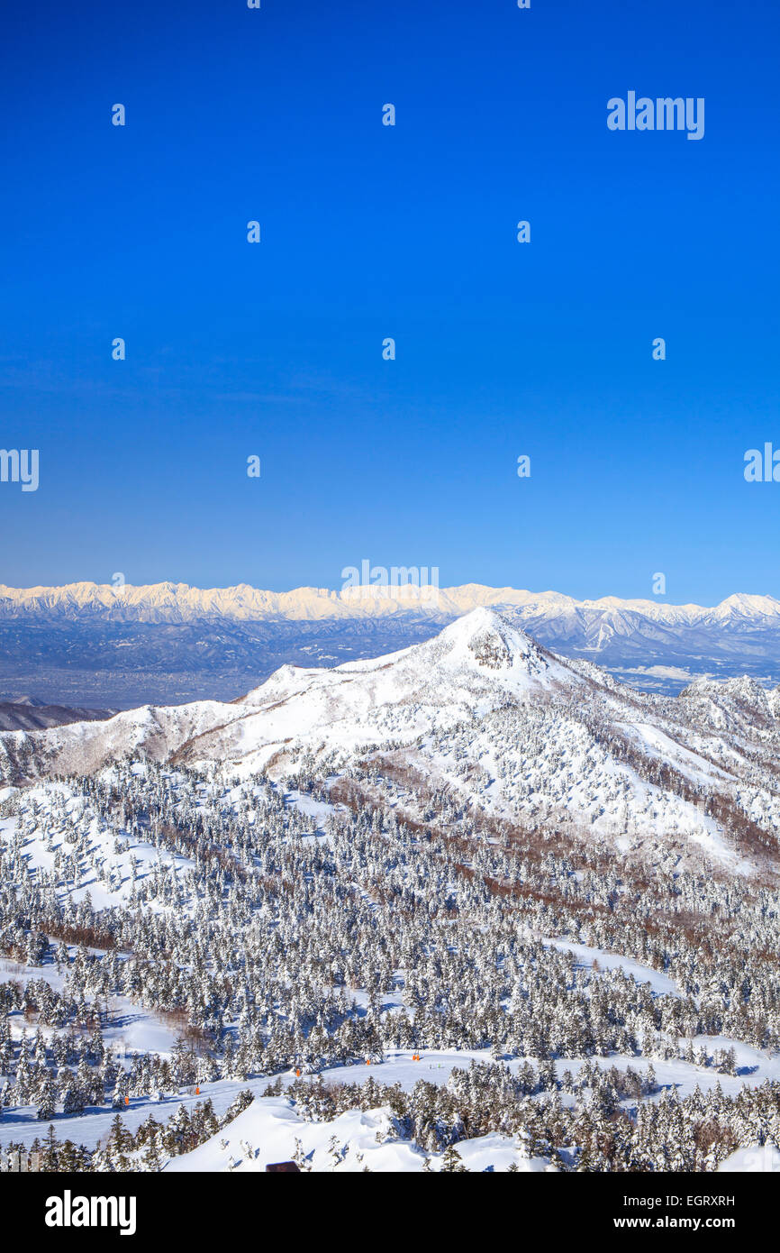 Shiga Kogen resort in winter, Nagano, Japan Stock Photo - Alamy