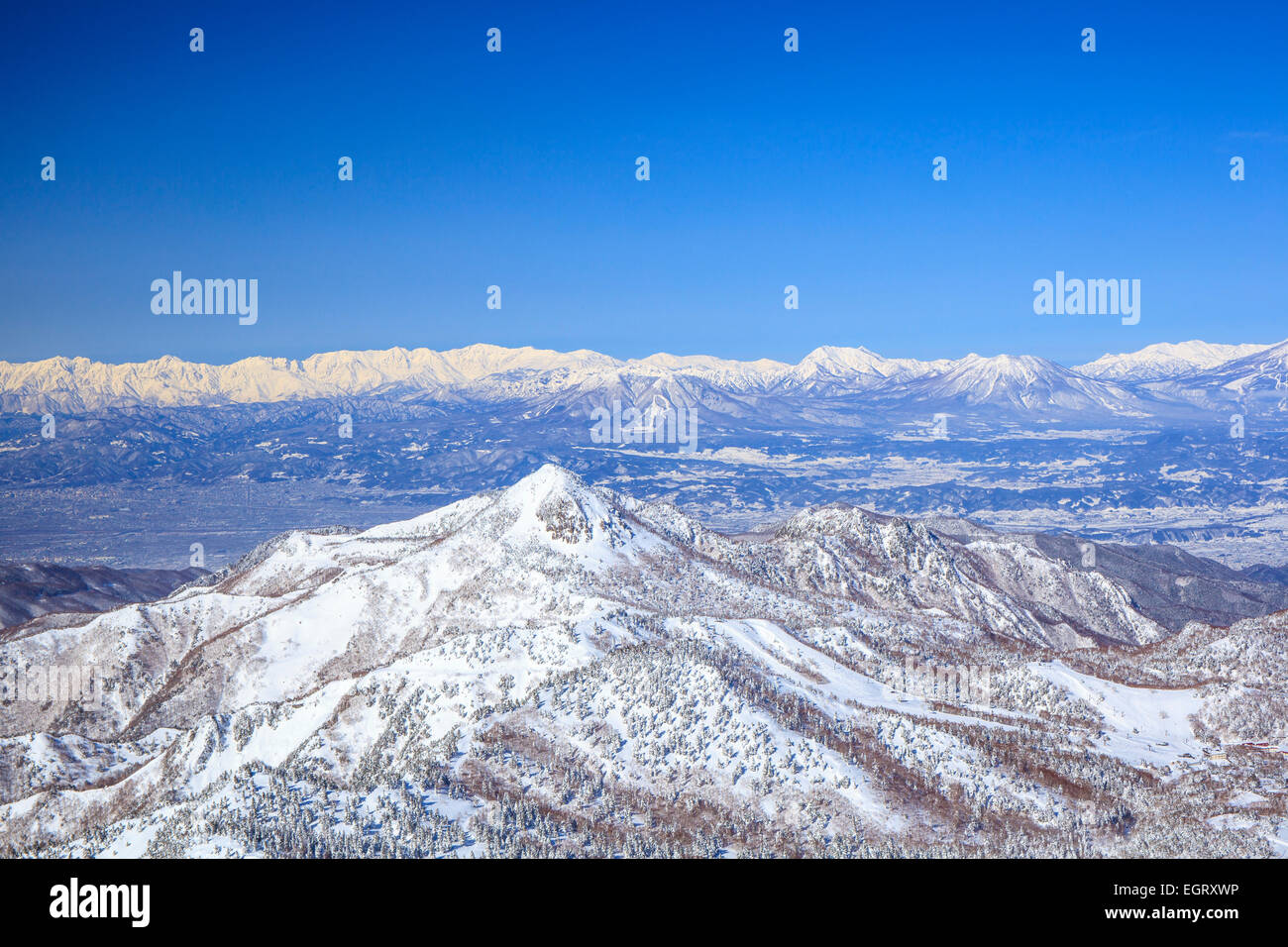 Shiga Kogen resort in winter, Nagano, Japan Stock Photo - Alamy