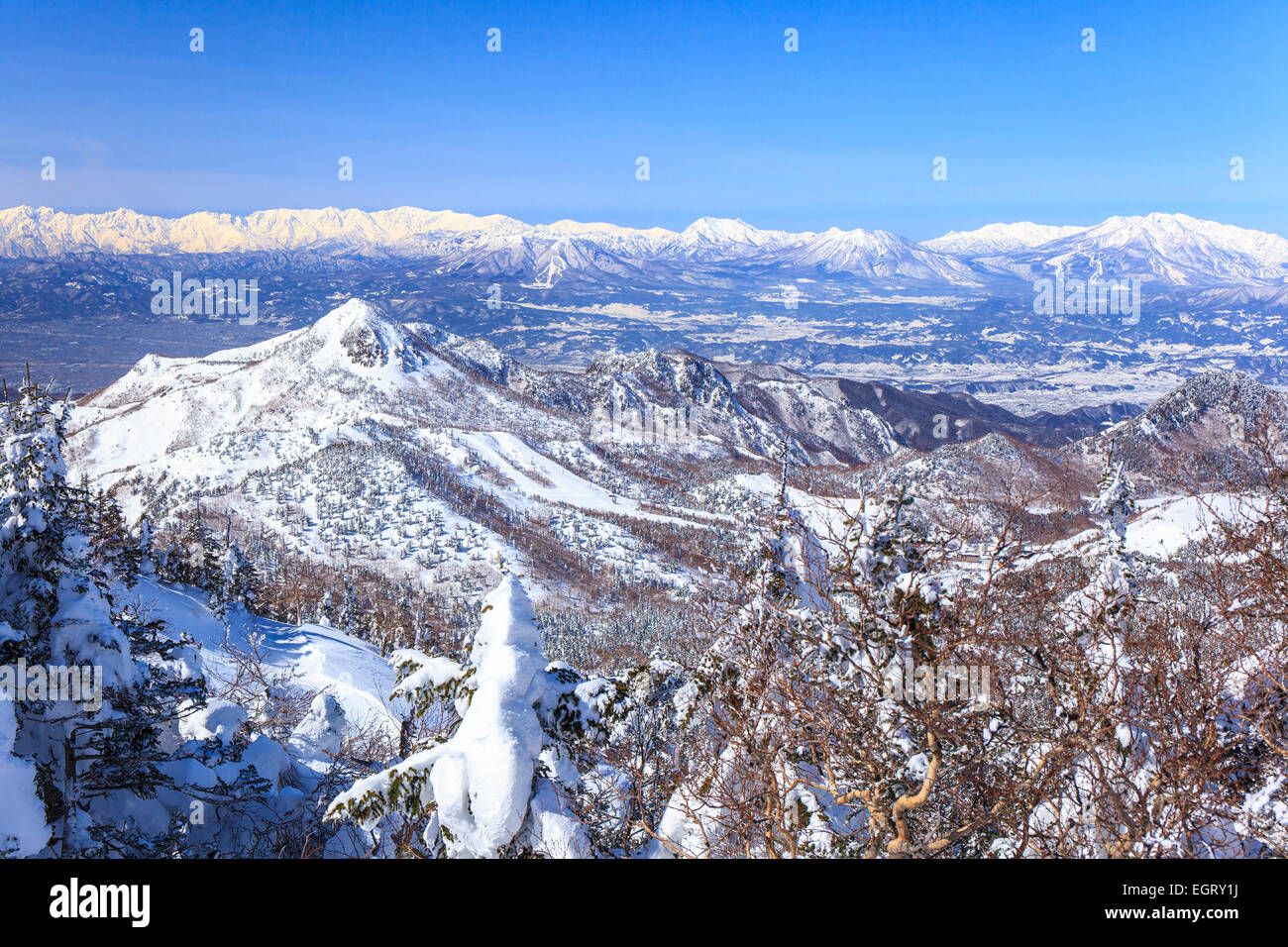 Shiga Kogen resort in winter, Nagano, Japan Stock Photo - Alamy