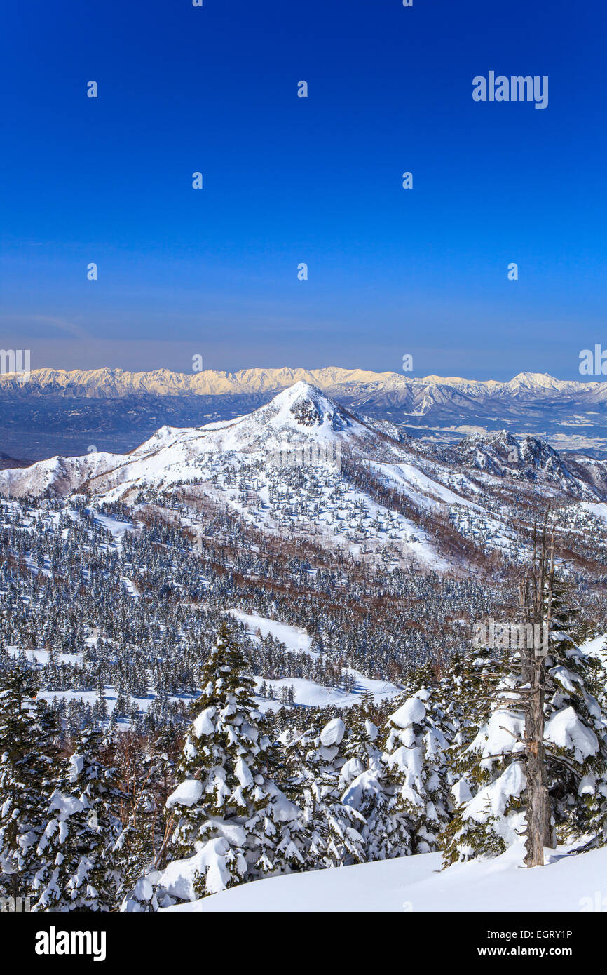 Shiga Kogen resort in winter, Nagano, Japan Stock Photo - Alamy