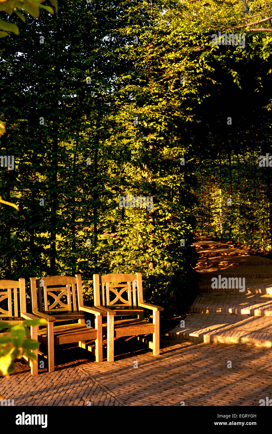 Beech tunnel, The Alnwick Garden Stock Photo - Alamy