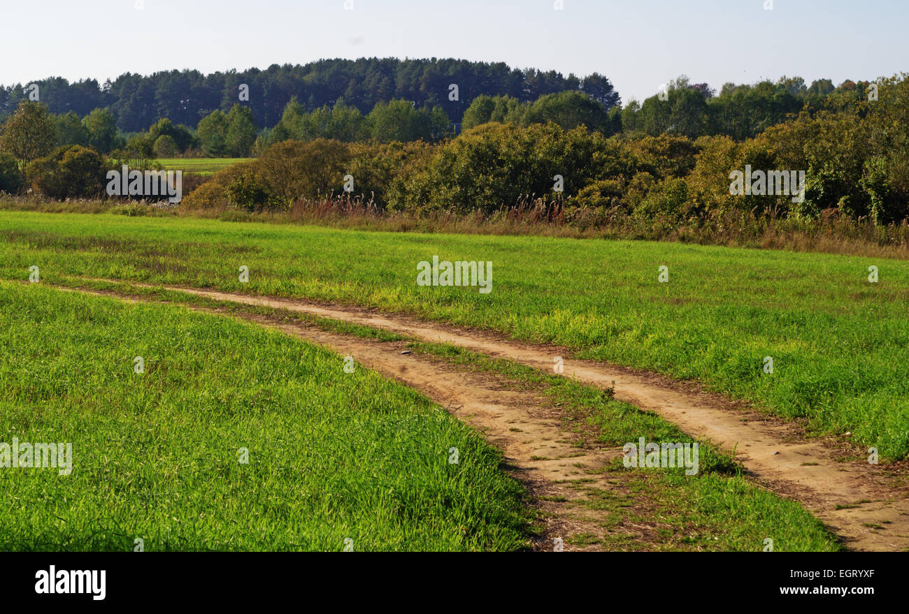The rural car track road Stock Photo - Alamy