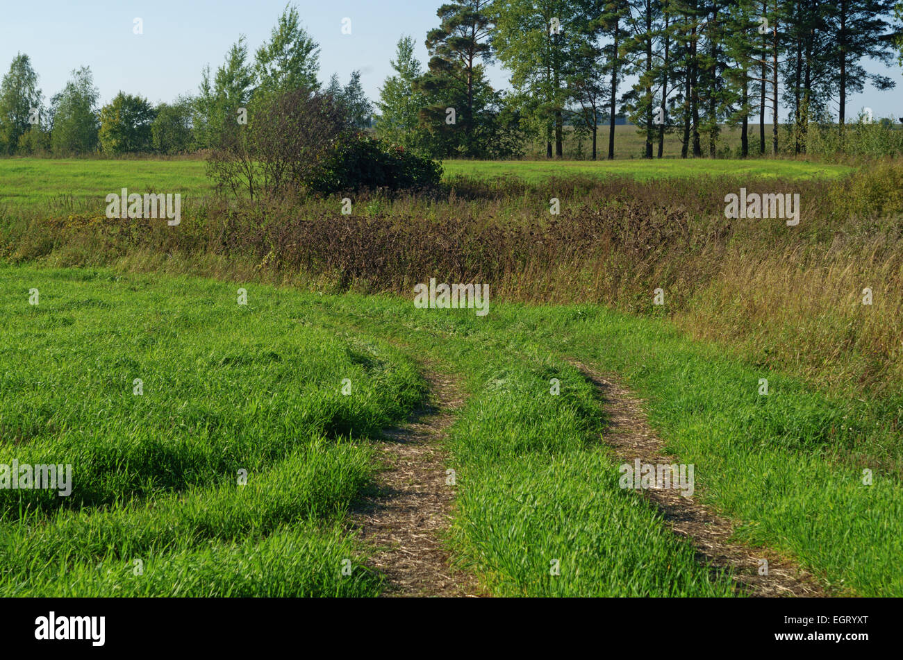 The rural car track road Stock Photo - Alamy
