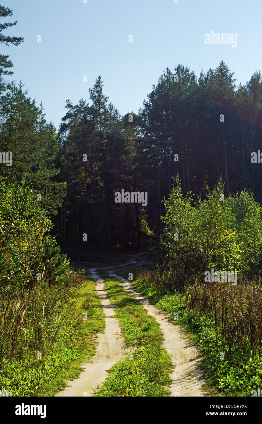 The rural car track road Stock Photo - Alamy