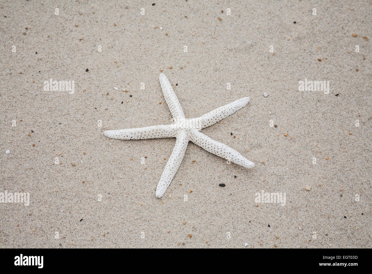 Cutouts at beach hi-res stock photography and images - Alamy