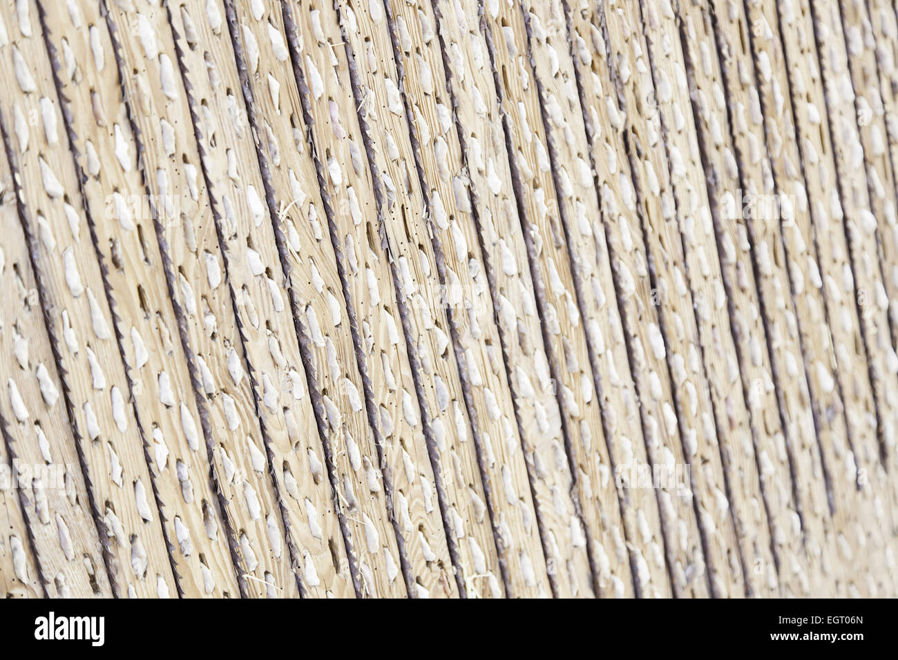Stones embedded wood, detail of a wooden board to rip and scrape Stock ...