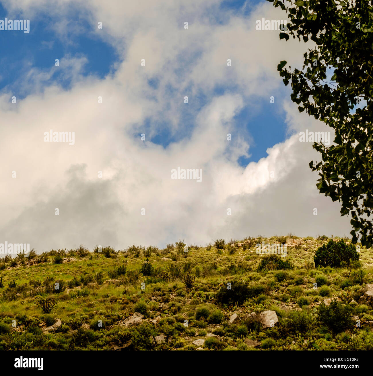 Desert hillside hi-res stock photography and images - Alamy