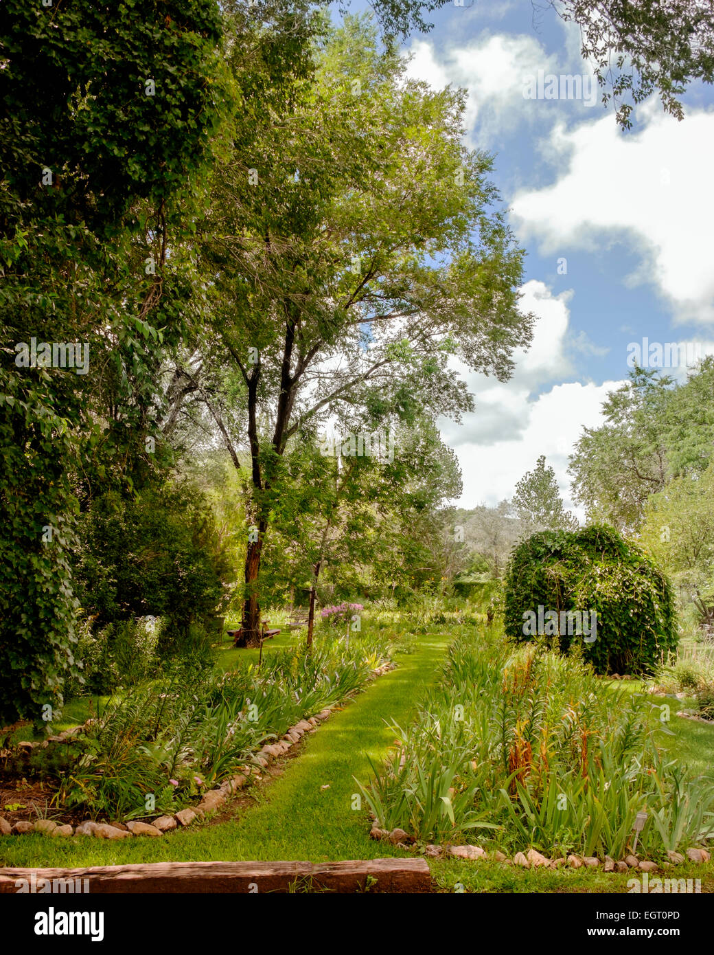 Grassy path in an out of season iris garden Stock Photo - Alamy