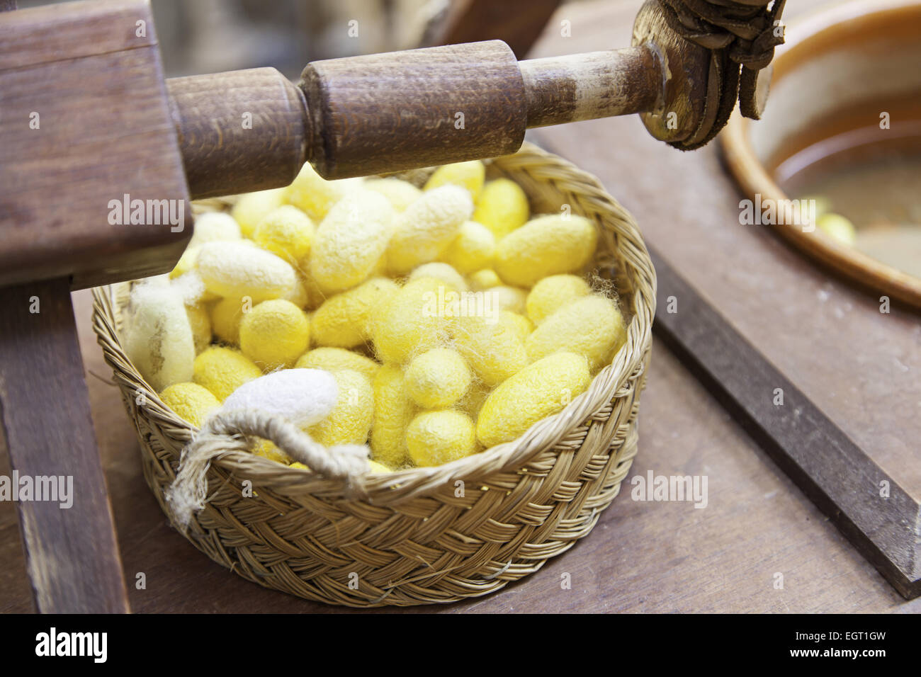 Cocoons processing hi-res stock photography and images - Alamy