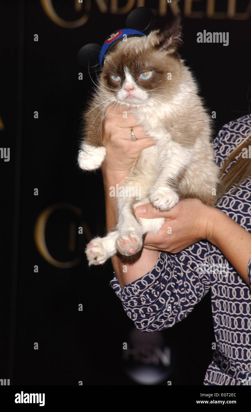 Los Angeles, California, USA. 1st March, 2015. Grumpy Cat attends the ...