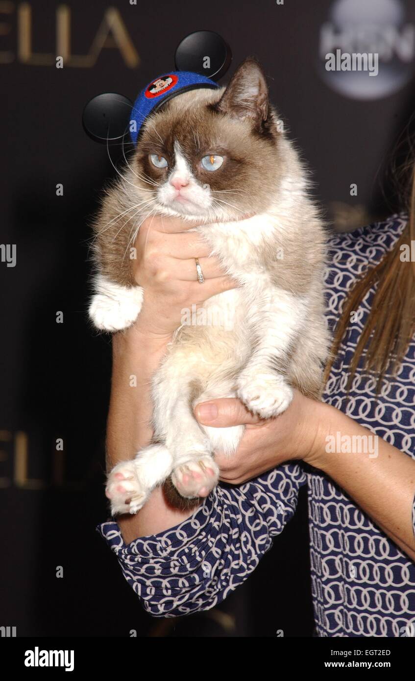 Los Angeles, California, USA. 1st March, 2015. Grumpy Cat attends the ...