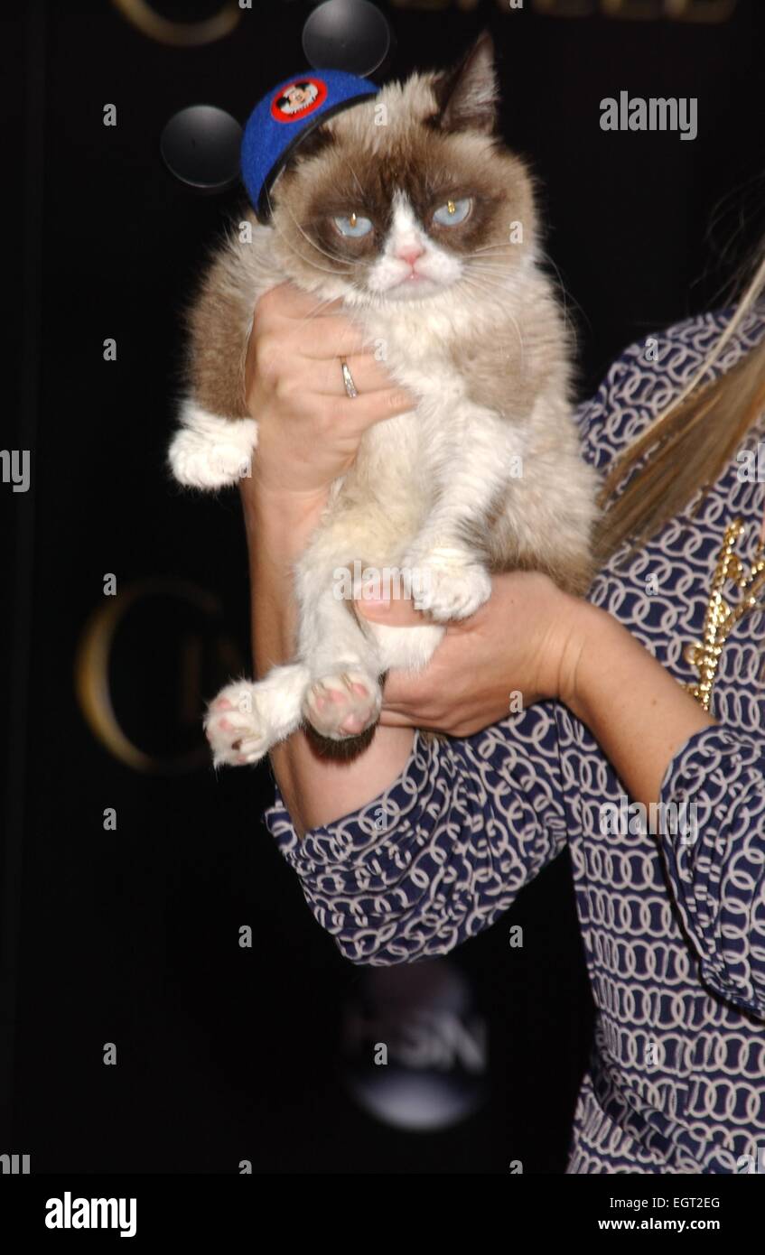 Los Angeles, California, USA. 1st March, 2015. Grumpy Cat attends the ...