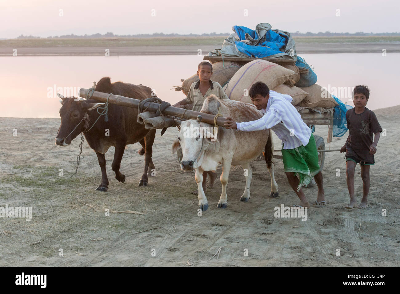 Bull cart hi-res stock photography and images - Alamy