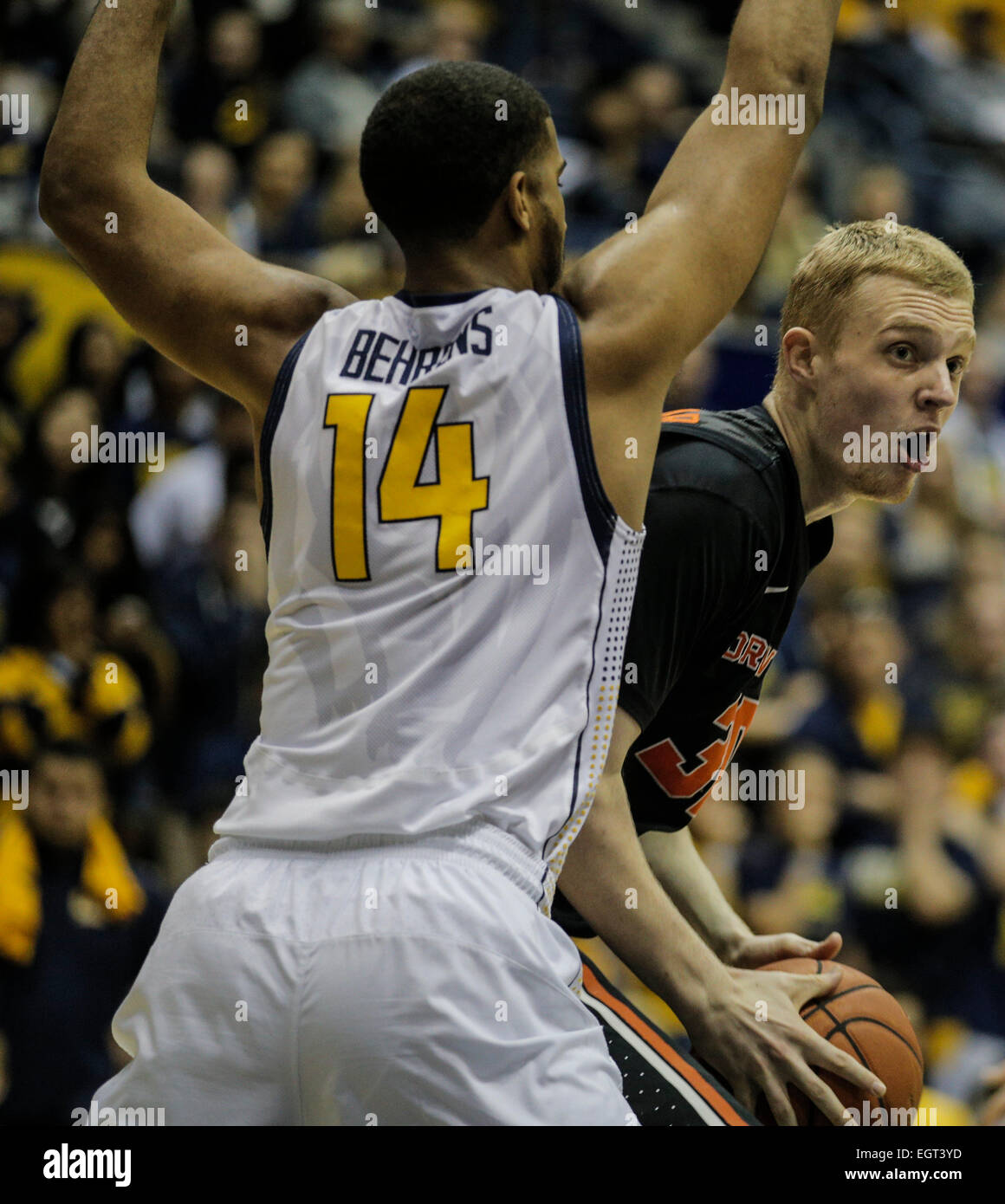 Berkeley USA CA. 01st Mar, 2015. OSU F # 30 Olaf Schaftenaar during ...