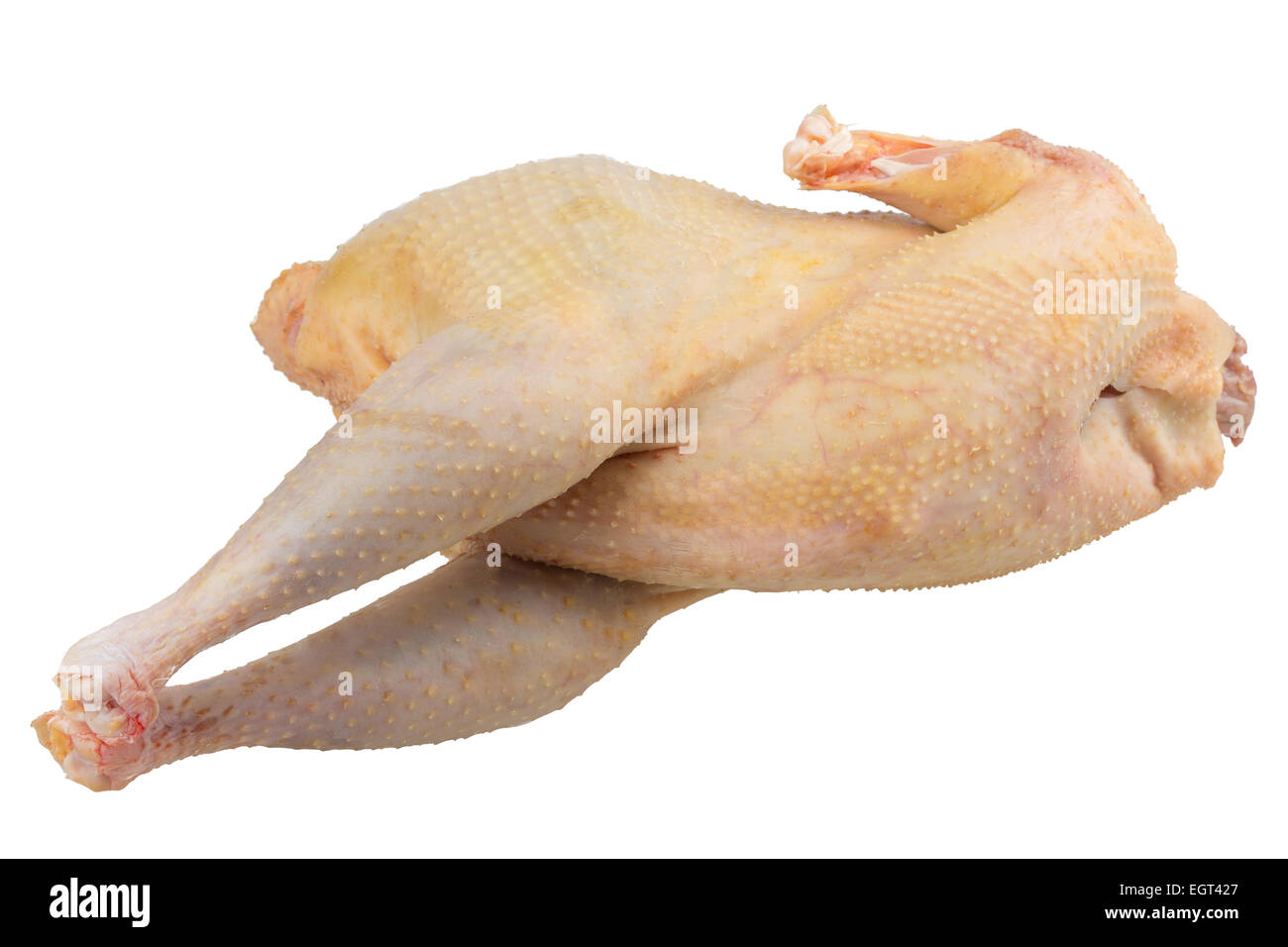 chicken carcass isolated on white background Stock Photo - Alamy
