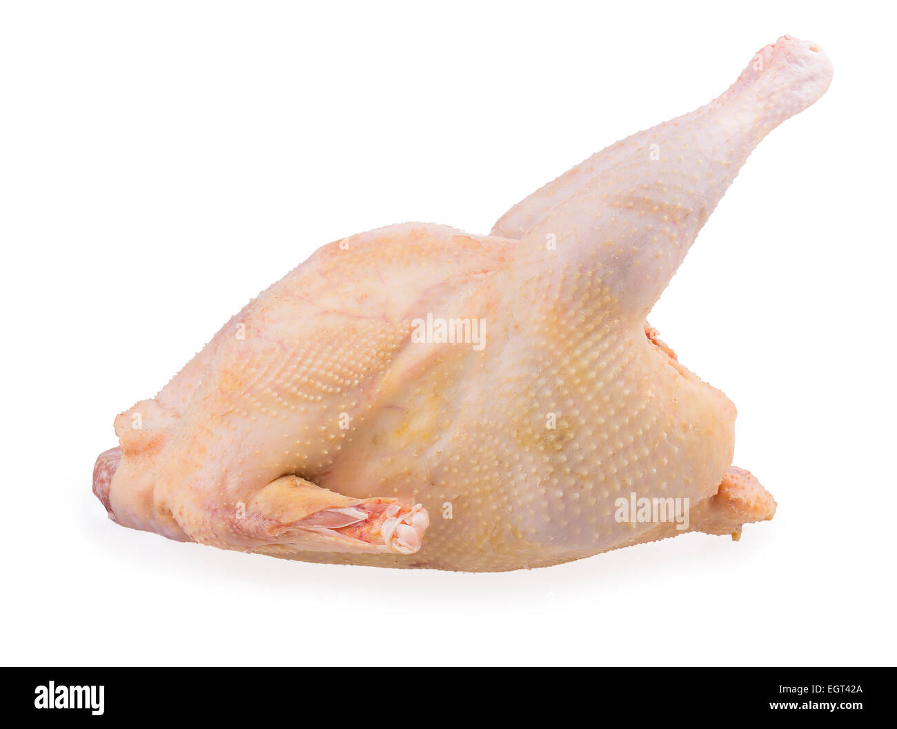 chicken carcass isolated on white background Stock Photo - Alamy