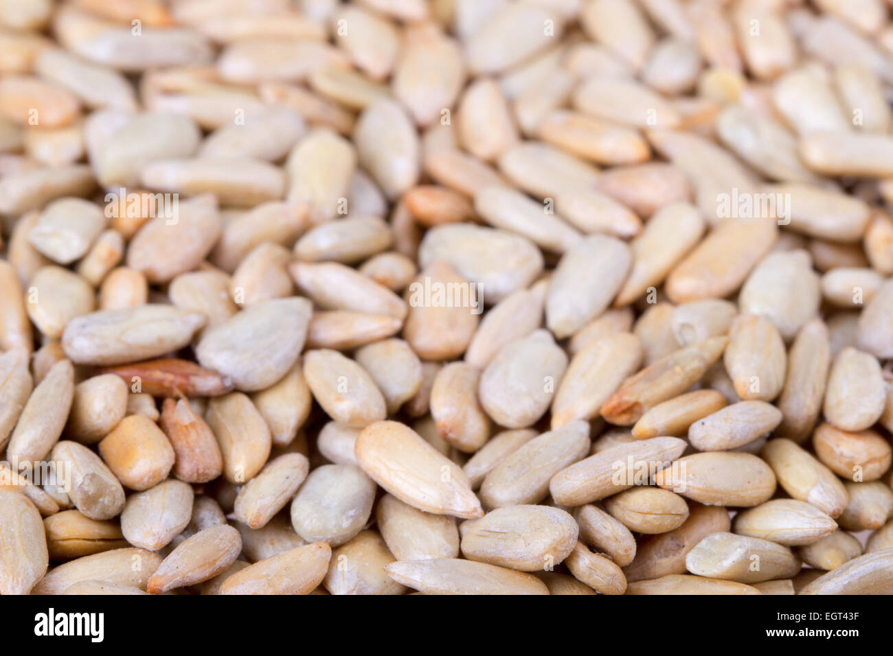 sunflower seed background Stock Photo - Alamy